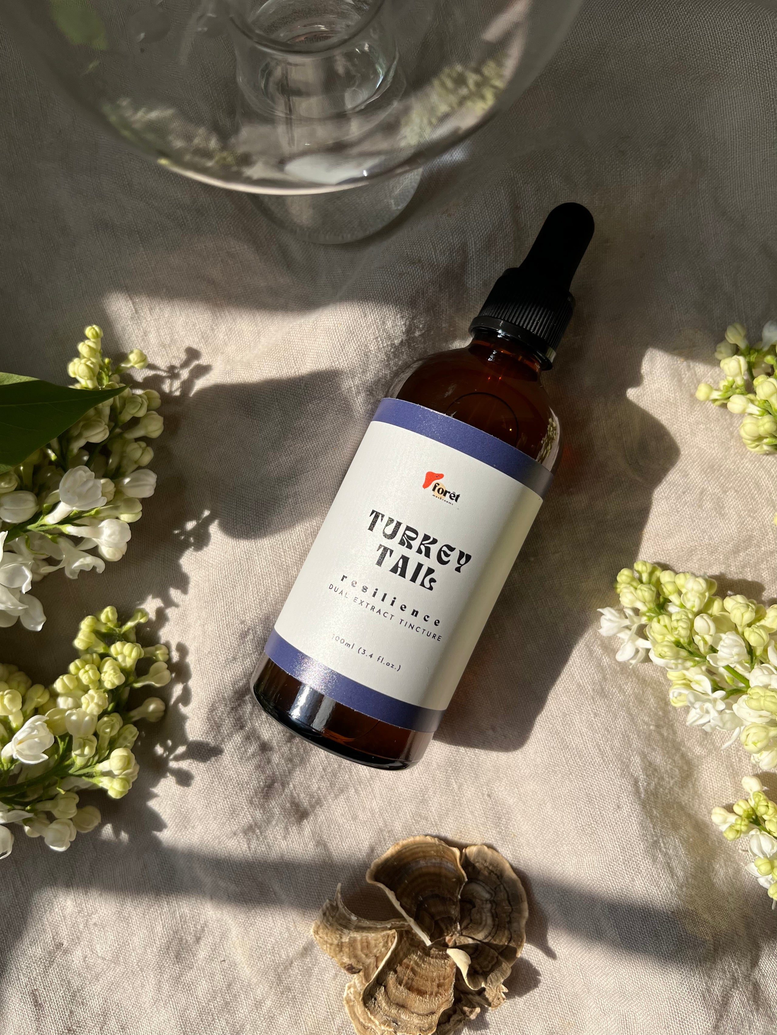 Turkey Tail Tincture - Resilience | forêt mushrooms